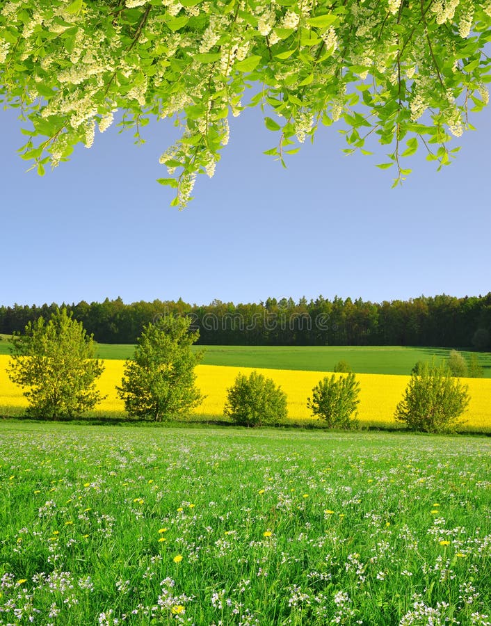 Spring landscape stock photo. Image of beautiful, beauty - 60181596