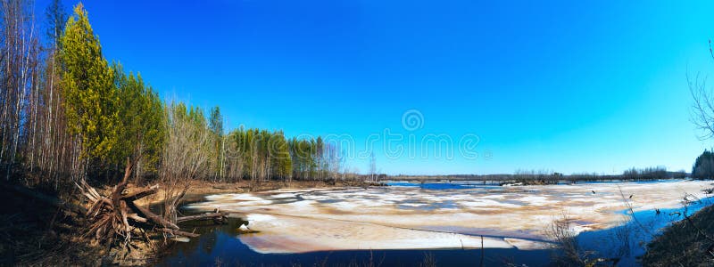 Spring Landscape , Forest Lake,panorama. Stock Photo - Image of spring ...