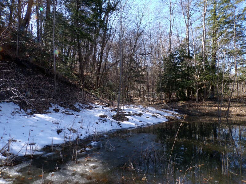 Spring Landscape stock photo. Image of creek, woodland - 273731528