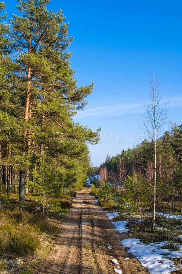 Spring landscape stock image. Image of fall, frozen, path - 47578585