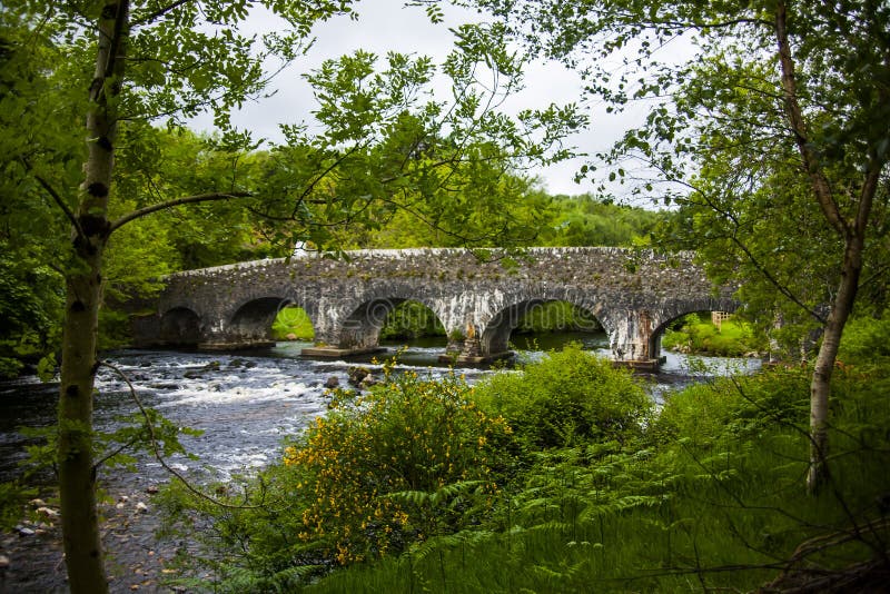Spring Landscape in the Forests of Ireland Stock Image - Image of irish ...