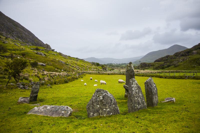 Spring Landscape in the Forests of Ireland Stock Image - Image of ...