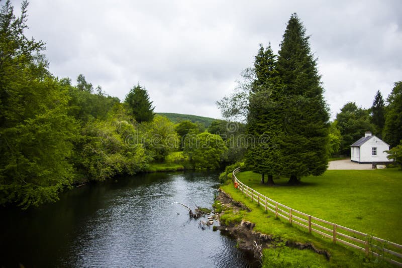 Spring Landscape in the Forests of Ireland Stock Photo - Image of cliff ...