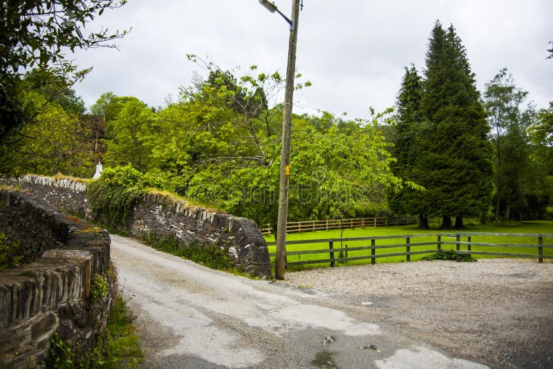 Spring Landscape in the Forests of Ireland Stock Image - Image of ...
