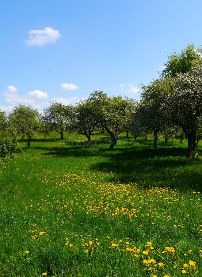 Spring Landscape Germany Mountains Fields Forest Stock Image - Image of ...