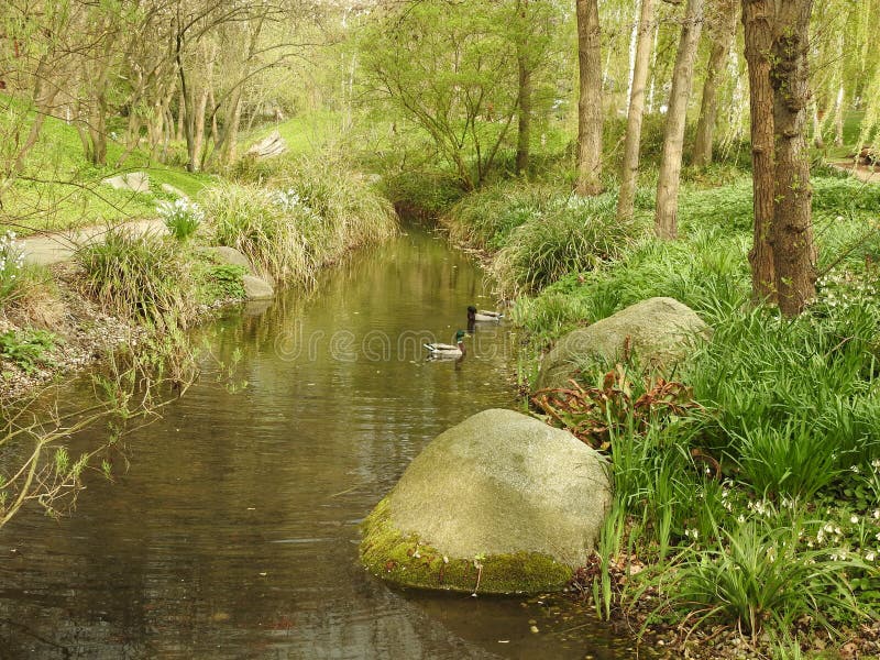 Spring landscape stock photo. Image of landscape, parc - 144983436