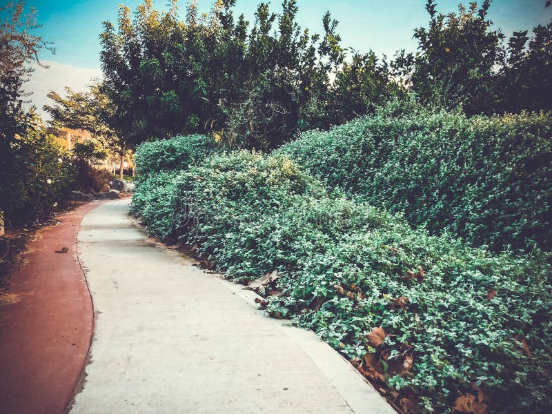 Spring Landscape. Green Branches of Spring Park Trees and Booths on a ...