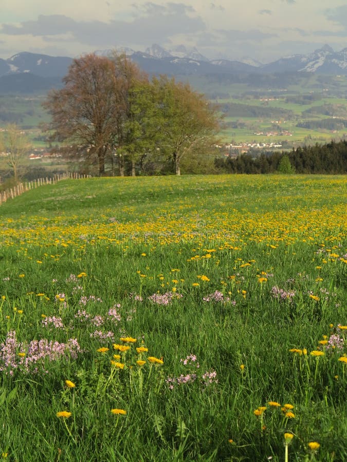 Spring landscape stock photo. Image of growth, landscape - 36594420