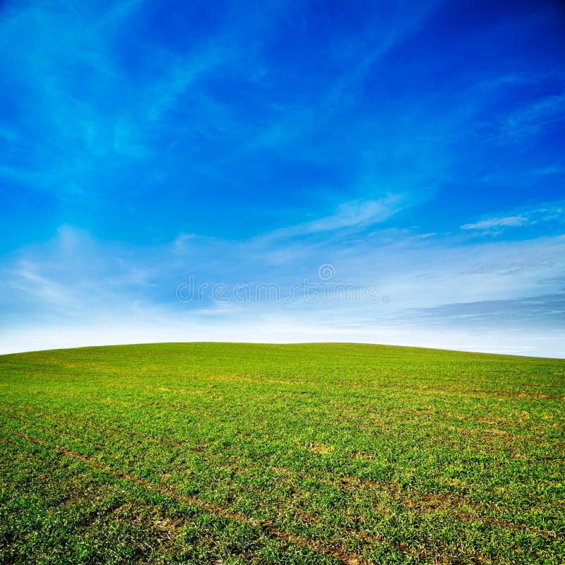 Spring Landscape with Green Field and Clouds Stock Image - Image of ...
