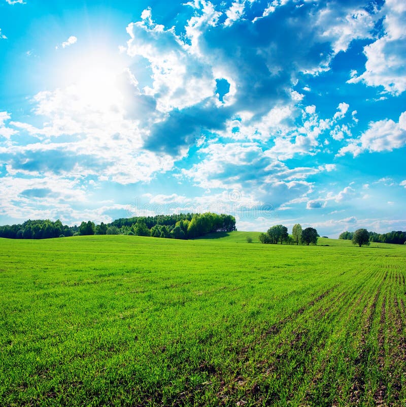 Spring Landscape with Green Field and Clouds Stock Image - Image of ...