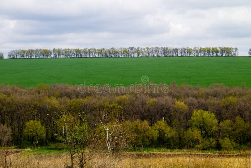 Spring Landscape with Green Field, Hills and Trees Stock Image - Image ...