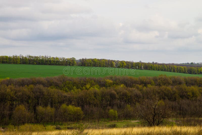 Spring Landscape with Beautiful Lake, Green Meadows, Hills, Trees and ...
