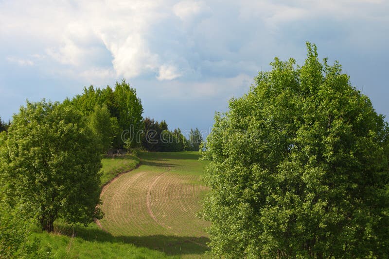 Spring landscape. stock photo. Image of beautiful, meadow - 41938354