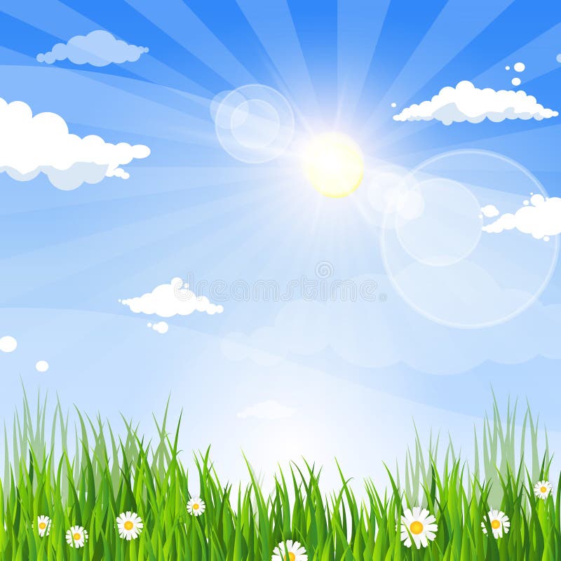 Spring Landscape Green Grass Blue Sky Land Banner Stock Vector ...