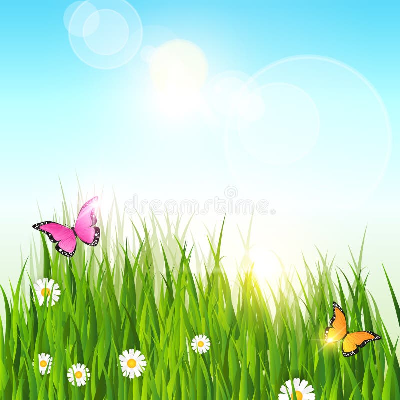 Spring Landscape Green Grass Blue Sky Land Banner Stock Vector ...