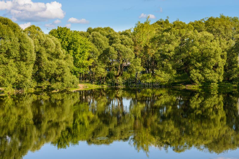 Spring landscape stock image. Image of grass, cornfield - 51192685