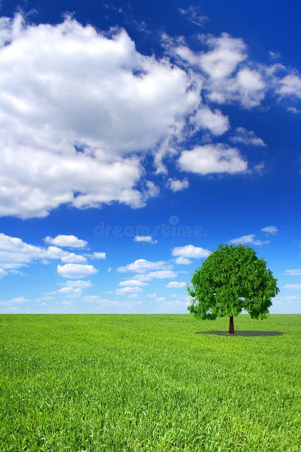 Spring Landscape, Green Tree Stock Image - Image of nature, cloud: 2400831