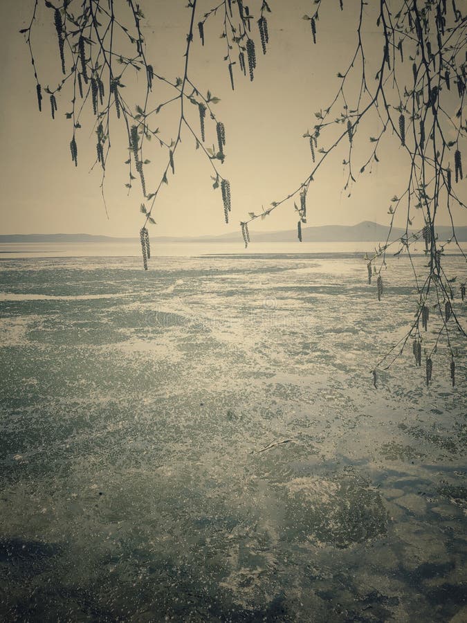 Spring Landscape with Ice Drift on the Lake Stock Photo - Image of ...