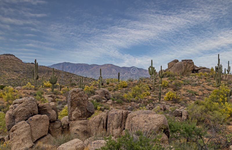 Spring Landscape Image of Browns Ranch Park in Scottsdale, AZ Stock ...