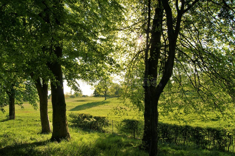 Spring Landscape. stock image. Image of natural, spring - 72885983