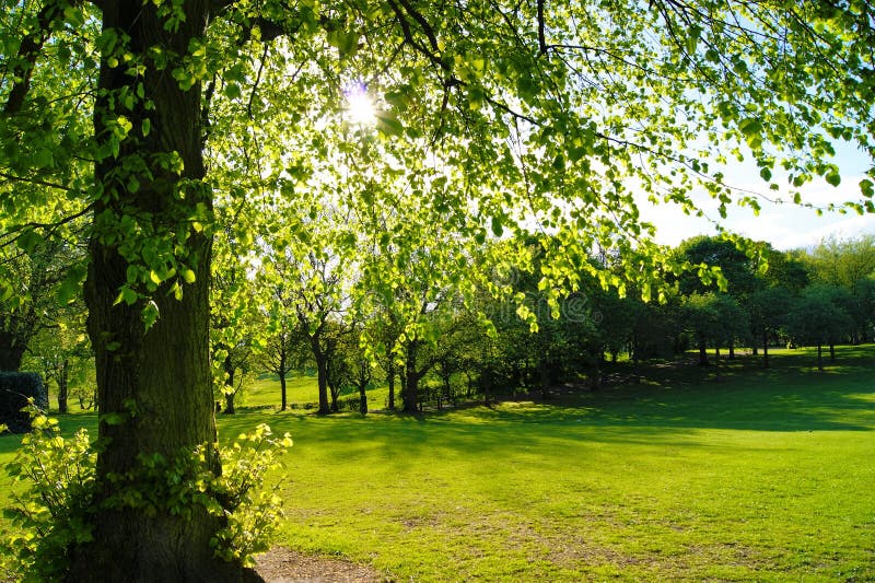 Spring Landscape. stock image. Image of season, spring - 98373447