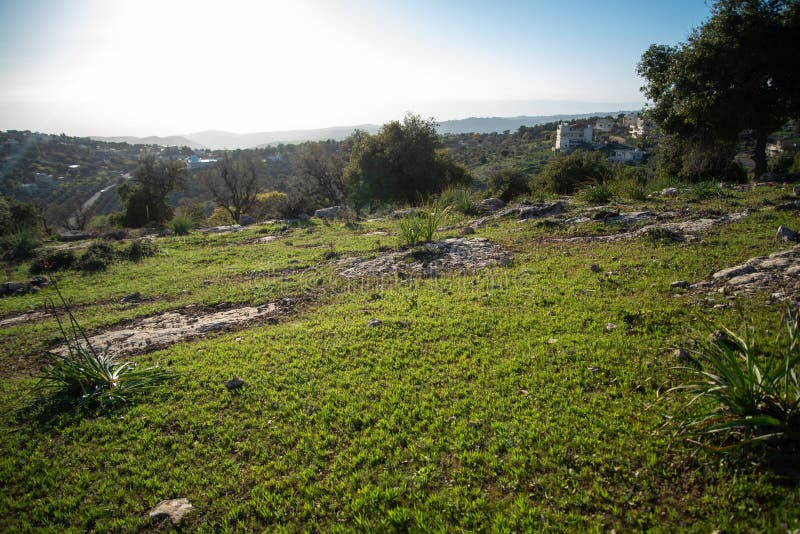 Spring landscape Jordan stock image. Image of valley - 309957197