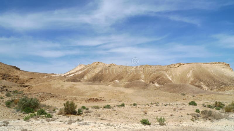 Spring in Judea desert. stock image. Image of judea, arid - 29831877