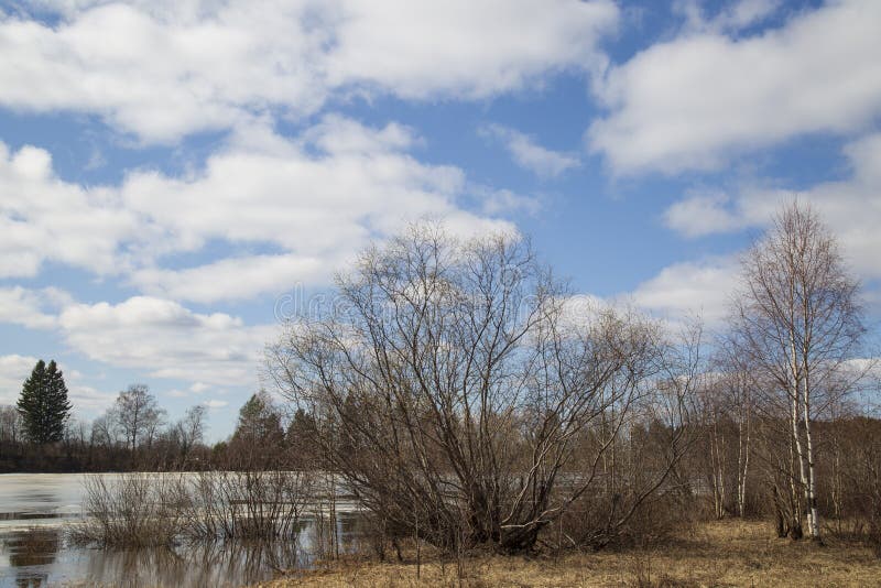Spring Landscape on the Lake with Blue Sky and Clouds Stock Photo ...