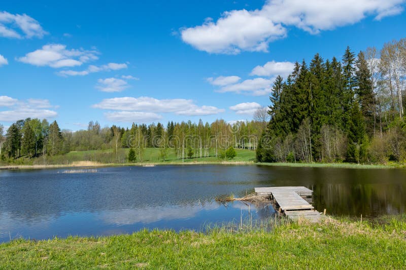 Spring Landscape with a Lake, the First Bright Green of Spring ...