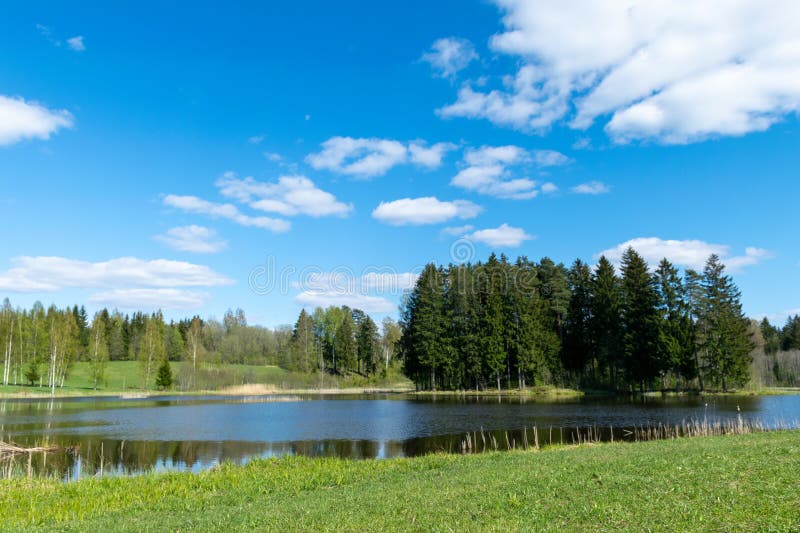 Spring Landscape with a Lake, the First Bright Green of Spring ...