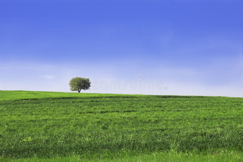 Spring landscape stock photo. Image of nature, outdoor - 30777990
