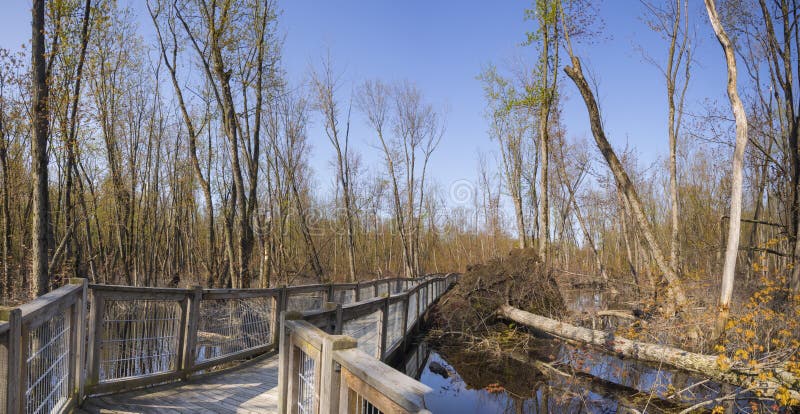Spring landscape stock photo. Image of nature, sunny - 76255996