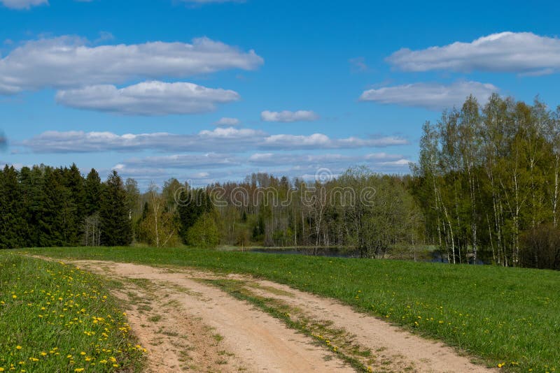Spring Landscape with a Meadow, the First Bright Green of Spring, a ...