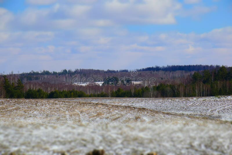 Spring Landscape Melting of Snow in Early Spring. Stock Image Stock ...