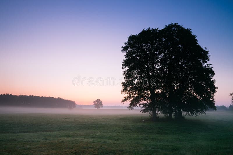 Spring landscape stock photo. Image of scenic, tree, nature - 77506268