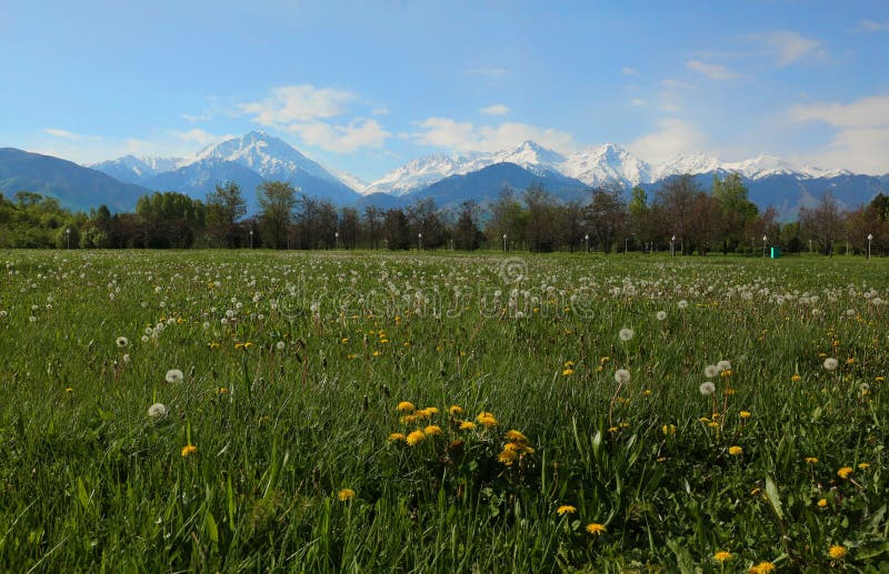 Spring landscape. stock image. Image of background, spring - 146397181