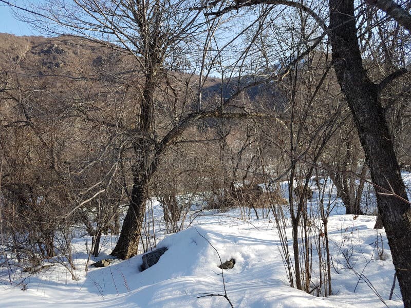 Spring Begins Mountains stock image. Image of begins - 141432845