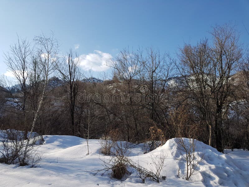 Spring Begins Mountains stock photo. Image of trees - 141432862