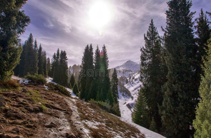 Spring in the mountains. stock photo. Image of morning - 137171898