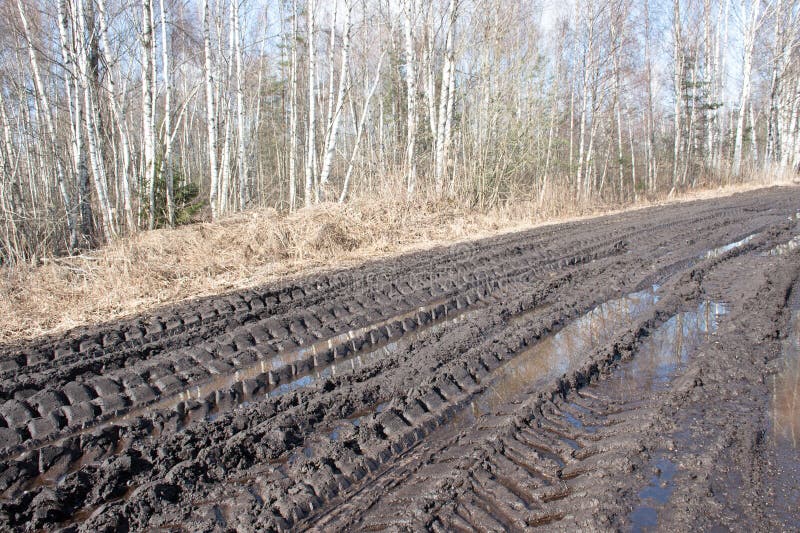 Spring Landscape with Muddy Swamp, Forest Road, Spring, Dirty Wet Road ...