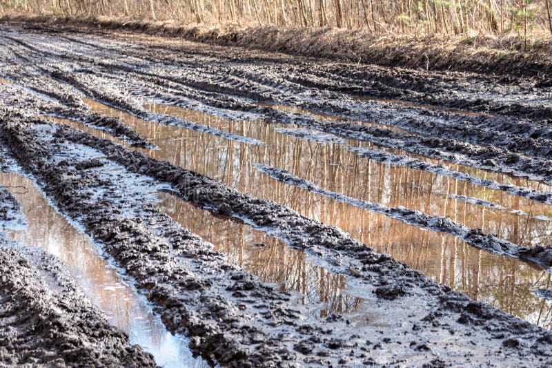 Spring Landscape with Muddy Swamp, Forest Road, Spring, Dirty Wet Road ...