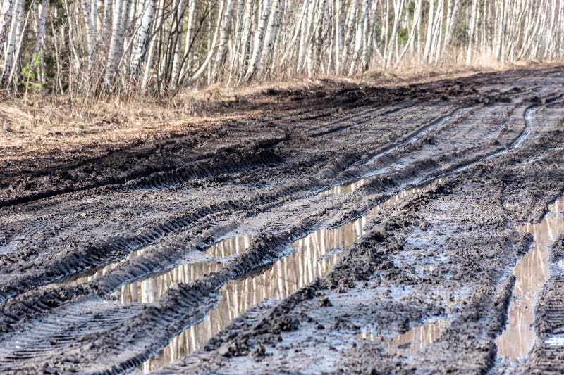 Spring Landscape with Muddy Swamp, Forest Road, Spring, Dirty Wet Road ...