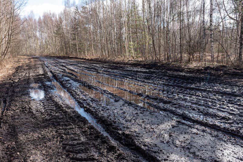 Spring Landscape with Muddy Swamp, Forest Road, Spring, Dirty Wet Road ...