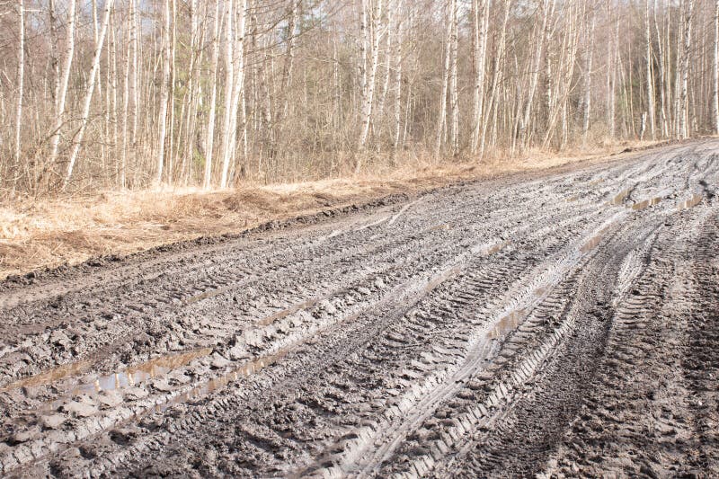 Spring Landscape with Muddy Swamp, Forest Road, Spring, Dirty Wet Road ...