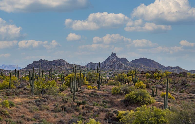 A Spring Landscape in North Scottsdale AZ with Pinnacle Peak in ...