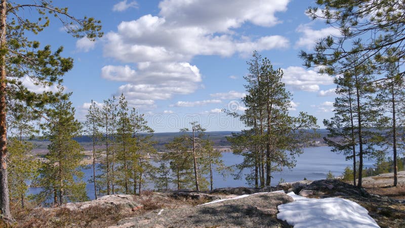 Spring in Sweden stock photo. Image of cowered, lamp - 112255356