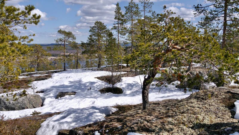 Spring in Sweden stock photo. Image of snow, wind, icicle - 112311890