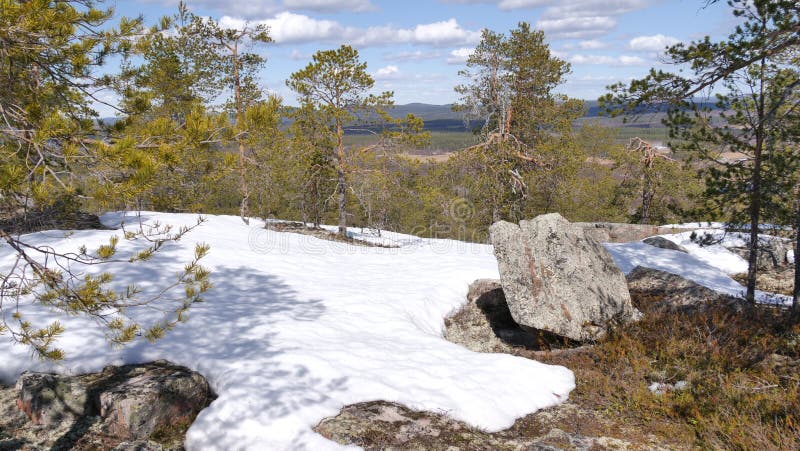 Spring in Sweden stock photo. Image of cowered, lamp - 112255356