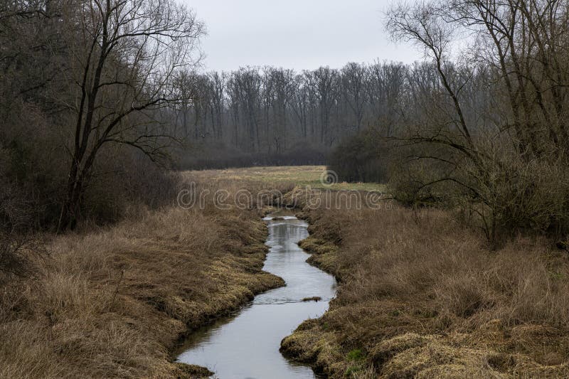 Spring Landscape on the Oder River in Poland. Natural Landscape Stock ...