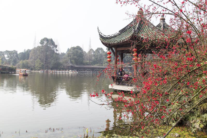 Spring Landscape in a Park,chengdu,china Editorial Stock Image - Image ...